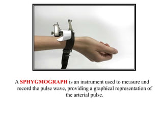 PULSE.pptx PPPPPPPPPPPPPPPPPPPPPPPPPPPPPPPPPPPPPPPPPPPPP | PPT