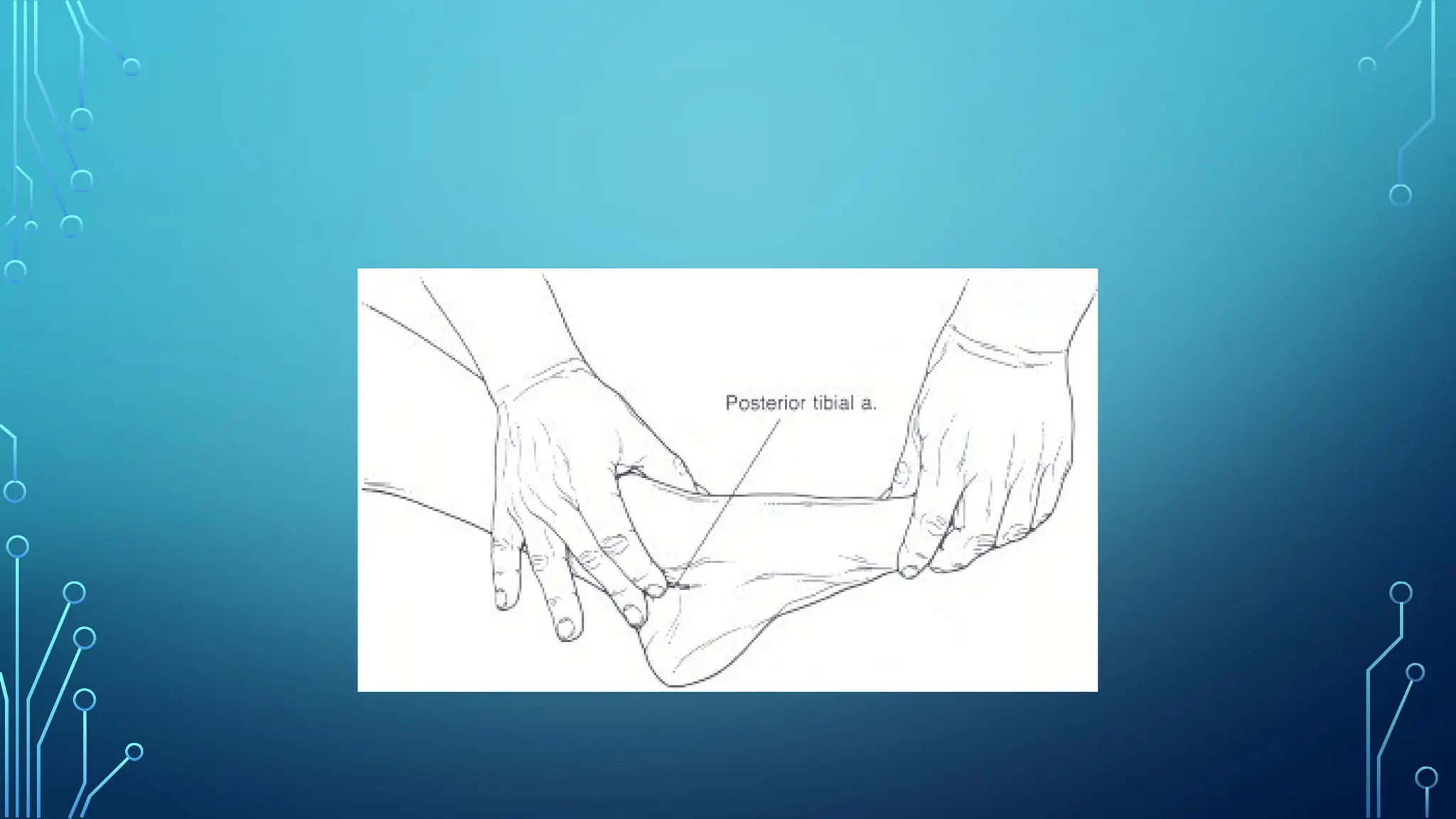different types of pulse, normal physiology | PPTX