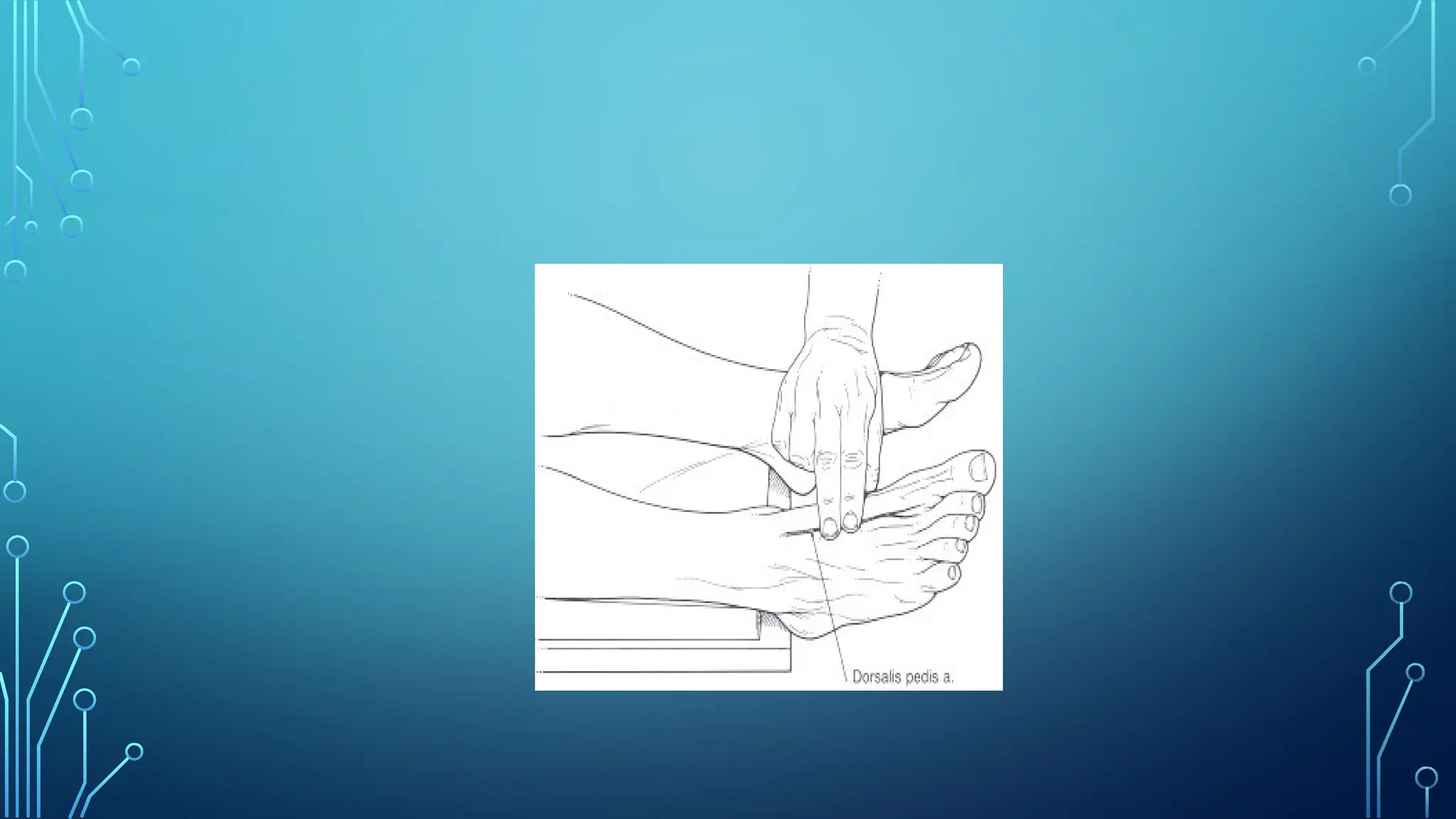 different types of pulse, normal physiology | PPTX