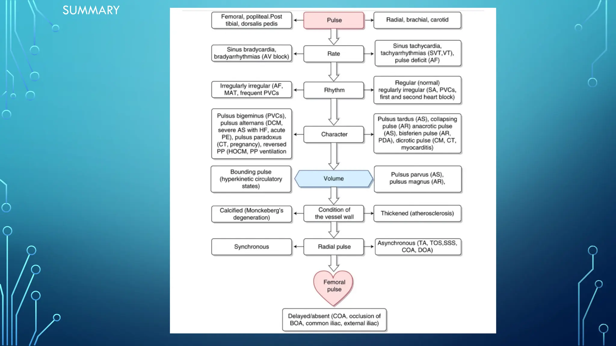 different types of pulse, normal physiology | PPTX