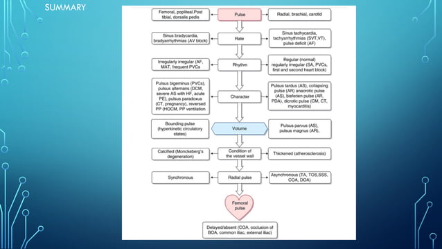 different types of pulse, normal physiology | PPTX
