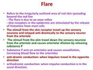 Pulse tripleresponse | PPTX
