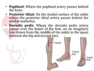 Dorsalis Pedis Pulse