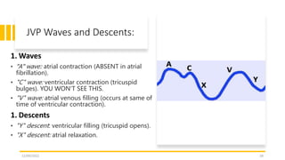 Pulse and JVP examination.pptx