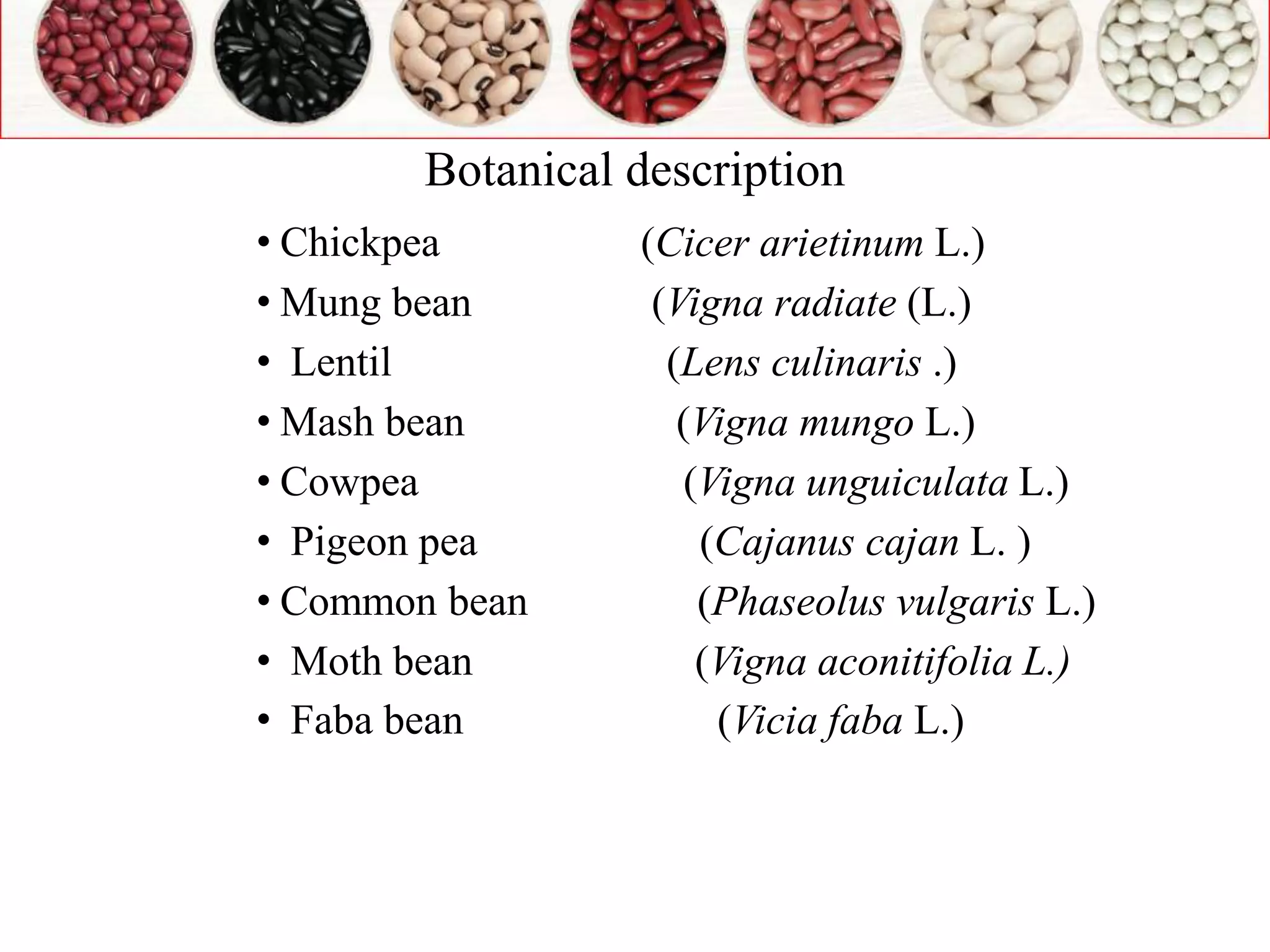 Pulse crops, Chickpeas, Mungbean, Mashbean..ppt