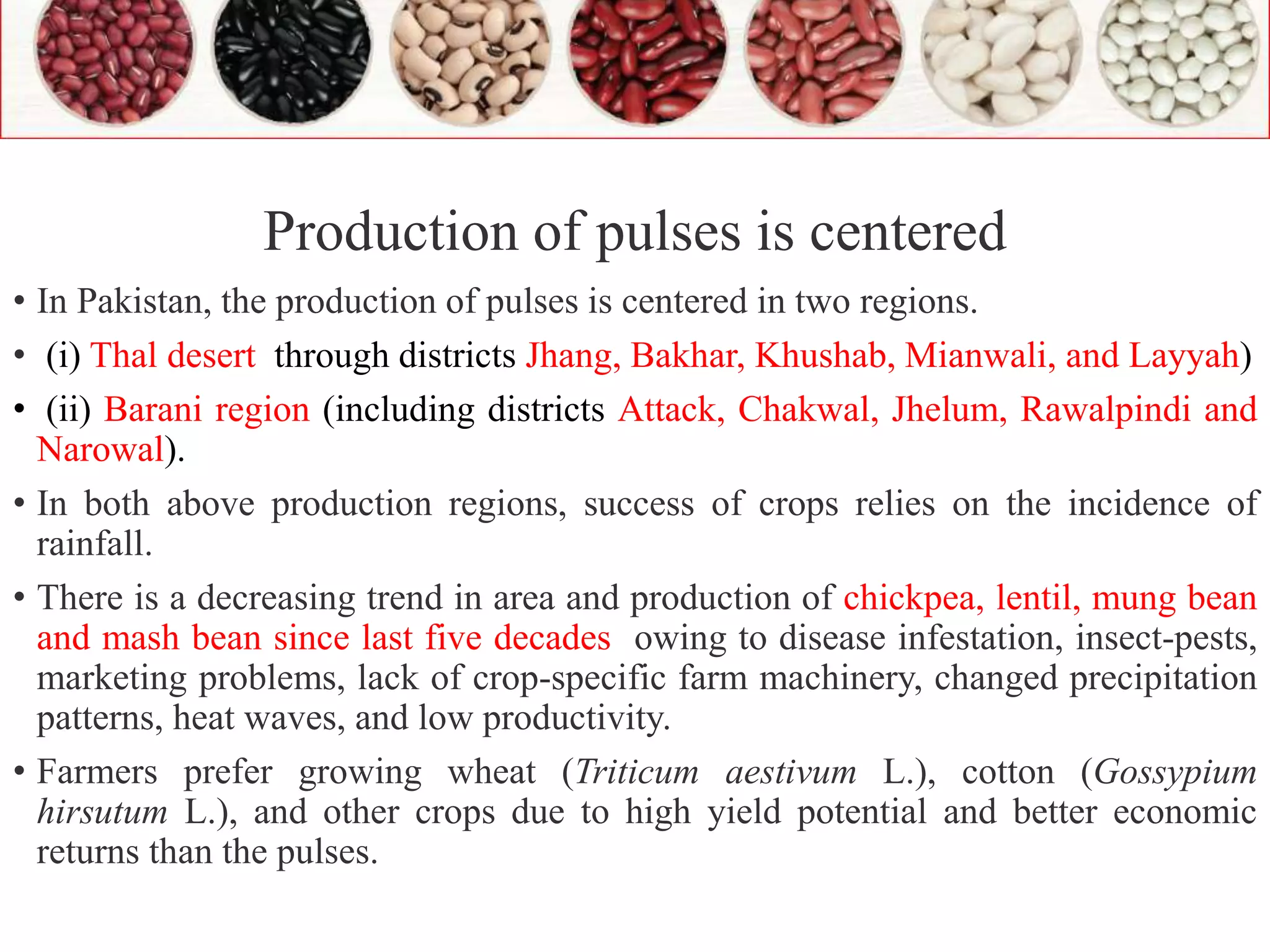 Pulse crops, Chickpeas, Mungbean, Mashbean..ppt