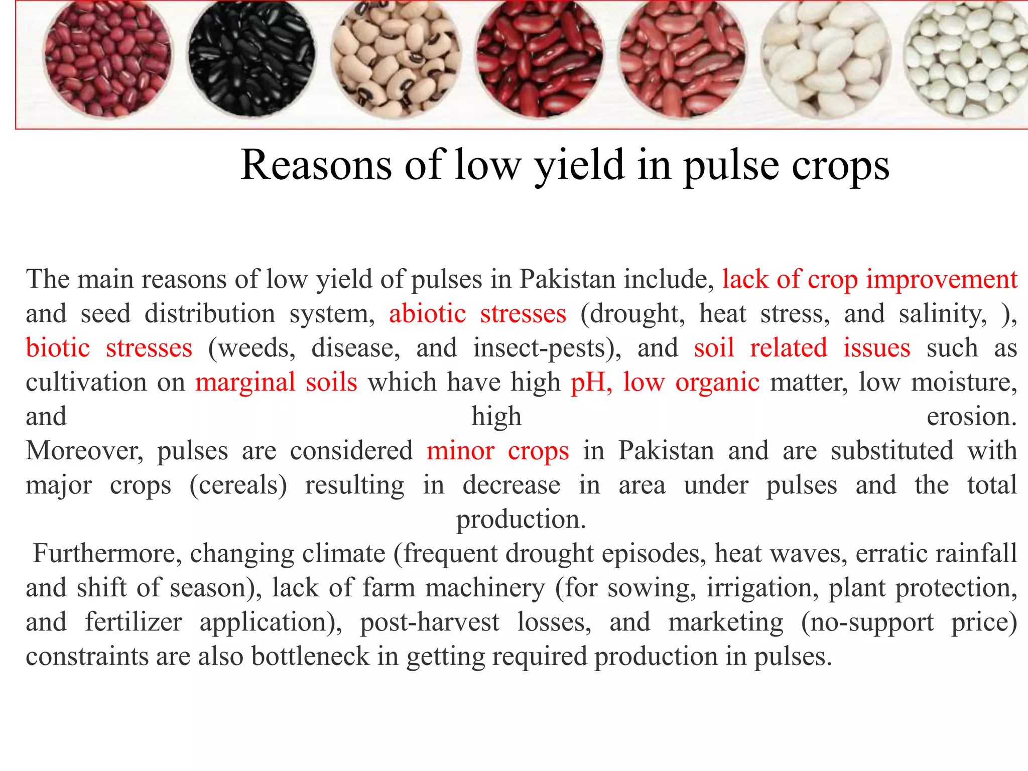 Pulse crops, Chickpeas, Mungbean, Mashbean..ppt