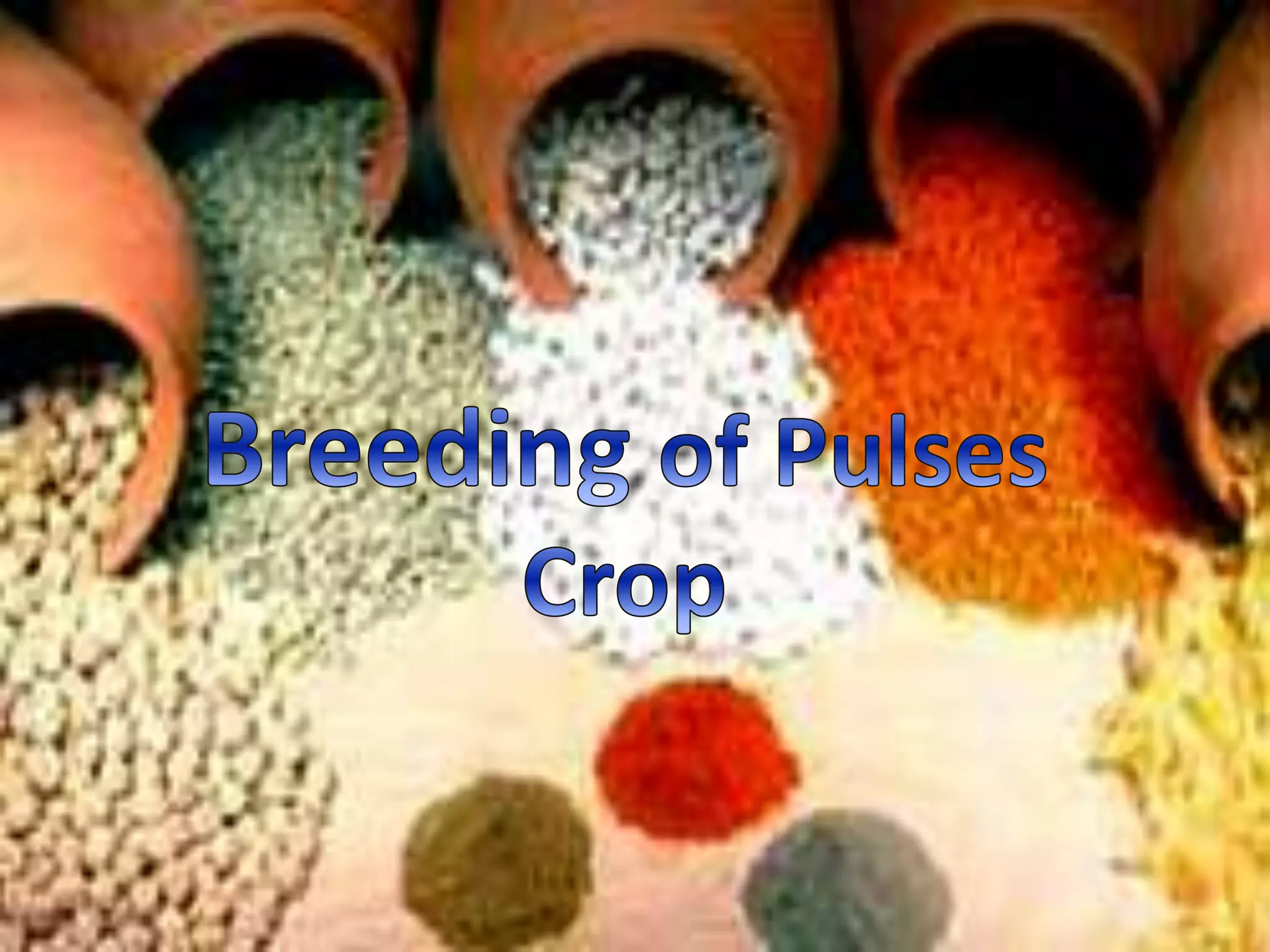 Pulse crops, Chickpeas, Mungbean, Mashbean..ppt