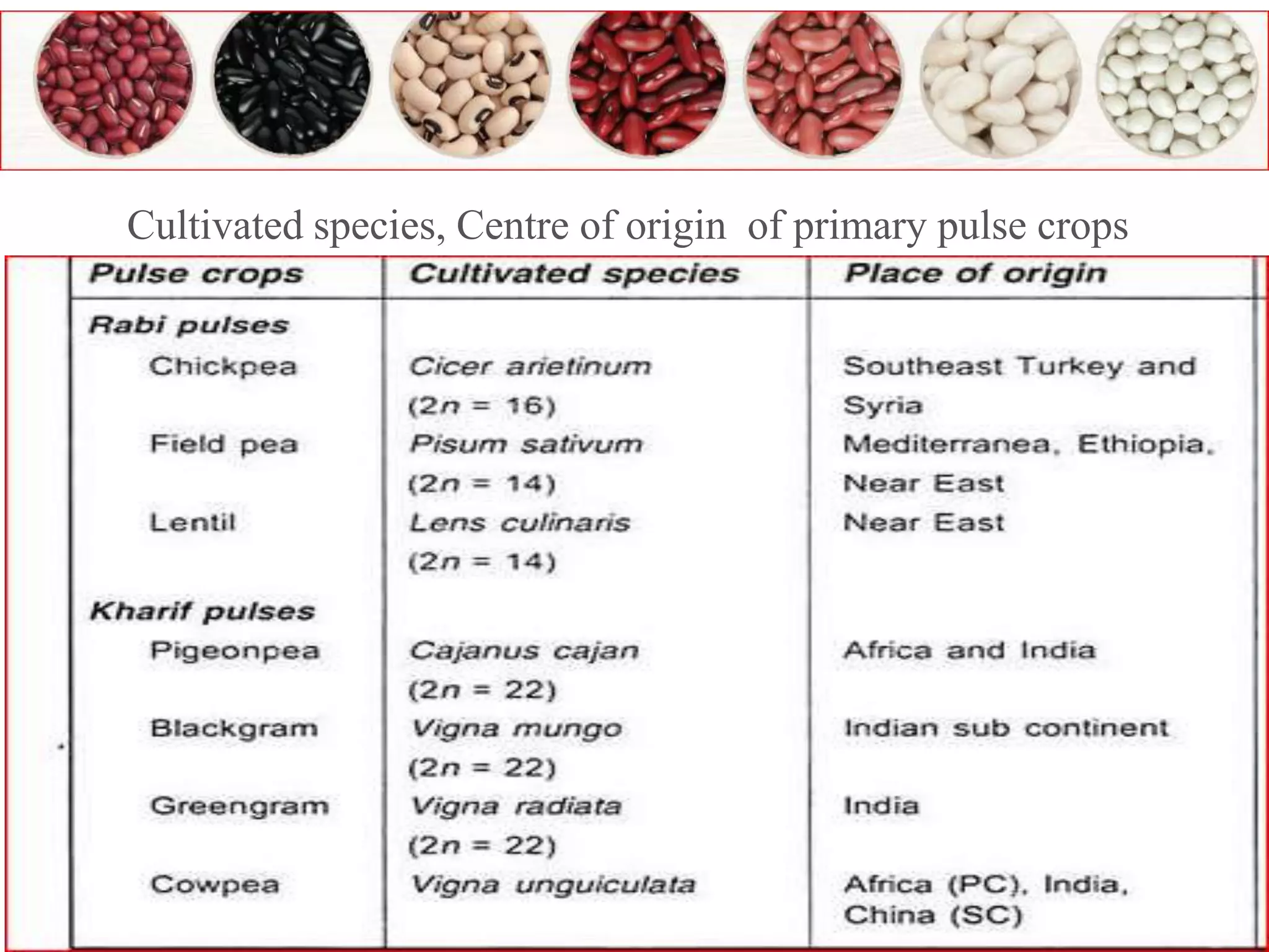 Pulse crops, Chickpeas, Mungbean, Mashbean..ppt