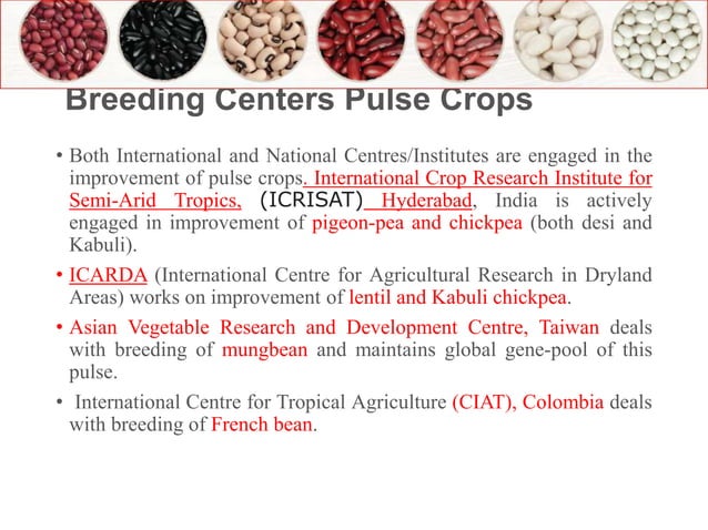 Pulse crops, Chickpeas, Mungbean, Mashbean..ppt