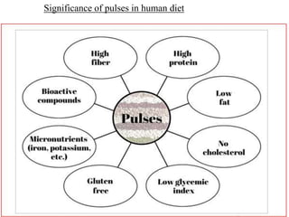Pulse crops, Chickpeas, Mungbean, Mashbean..ppt