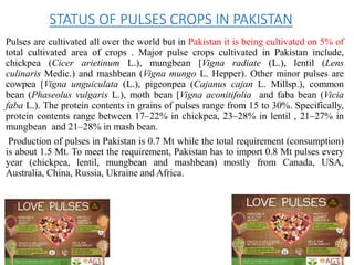 Pulse crops, Chickpeas, Mungbean, Mashbean..ppt