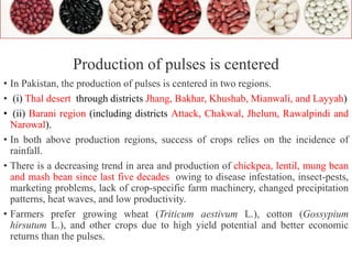 Pulse crops, Chickpeas, Mungbean, Mashbean..ppt