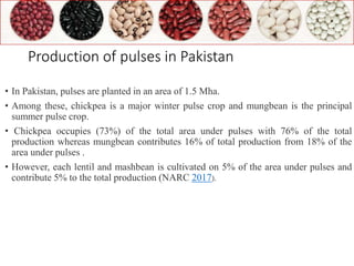 Pulse crops, Chickpeas, Mungbean, Mashbean..ppt
