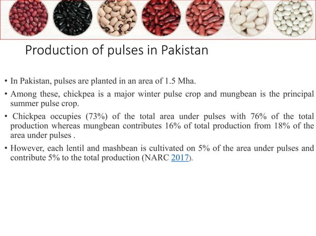 Pulse crops, Chickpeas, Mungbean, Mashbean..ppt