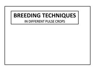 Pulse crops, Chickpeas, Mungbean, Mashbean..ppt