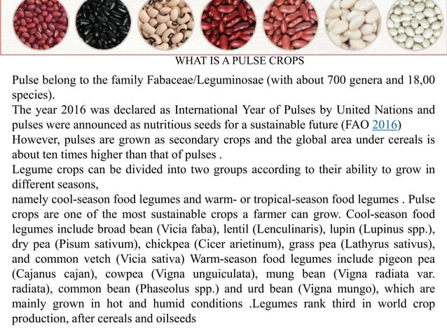 Pulse crops, Chickpeas, Mungbean, Mashbean..ppt