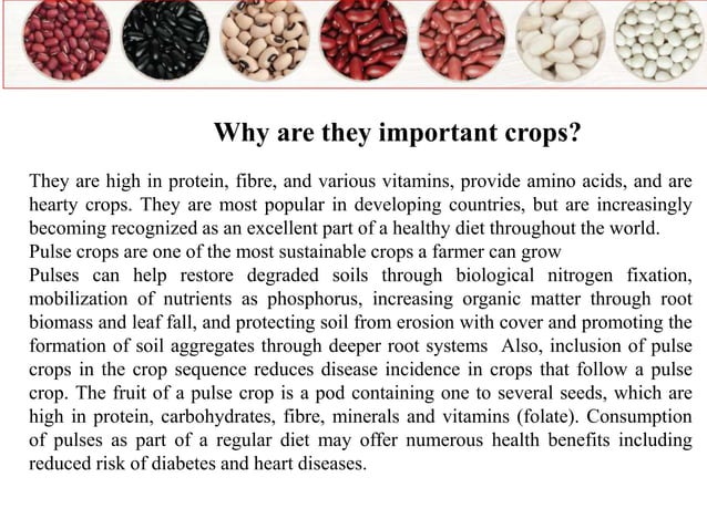 Pulse crops, Chickpeas, Mungbean, Mashbean..ppt