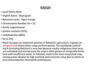 Pulse crops, Chickpeas, Mungbean, Mashbean..ppt