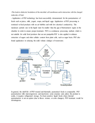 Pulsed electric field | PDF