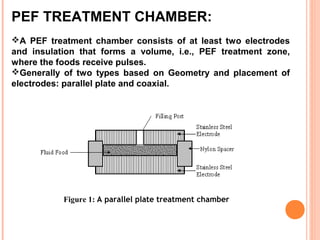 Pulsed Electric Field | PPT