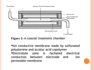 Pulsed Electric Field | PPT