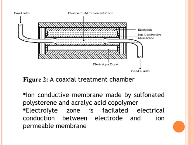 Pulsed Electric Field | PPT