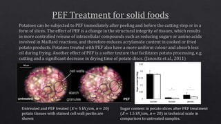 Pulsed Electric Field.pptx
