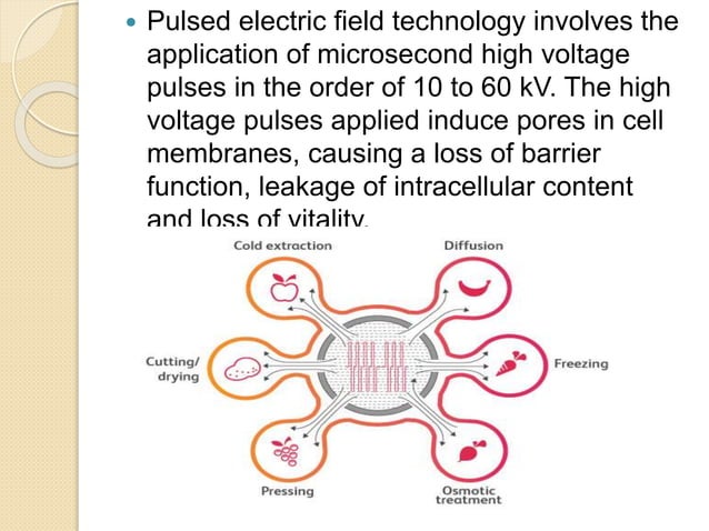 Pulsed electric field(pef) | PPTX | Chemistry | Science