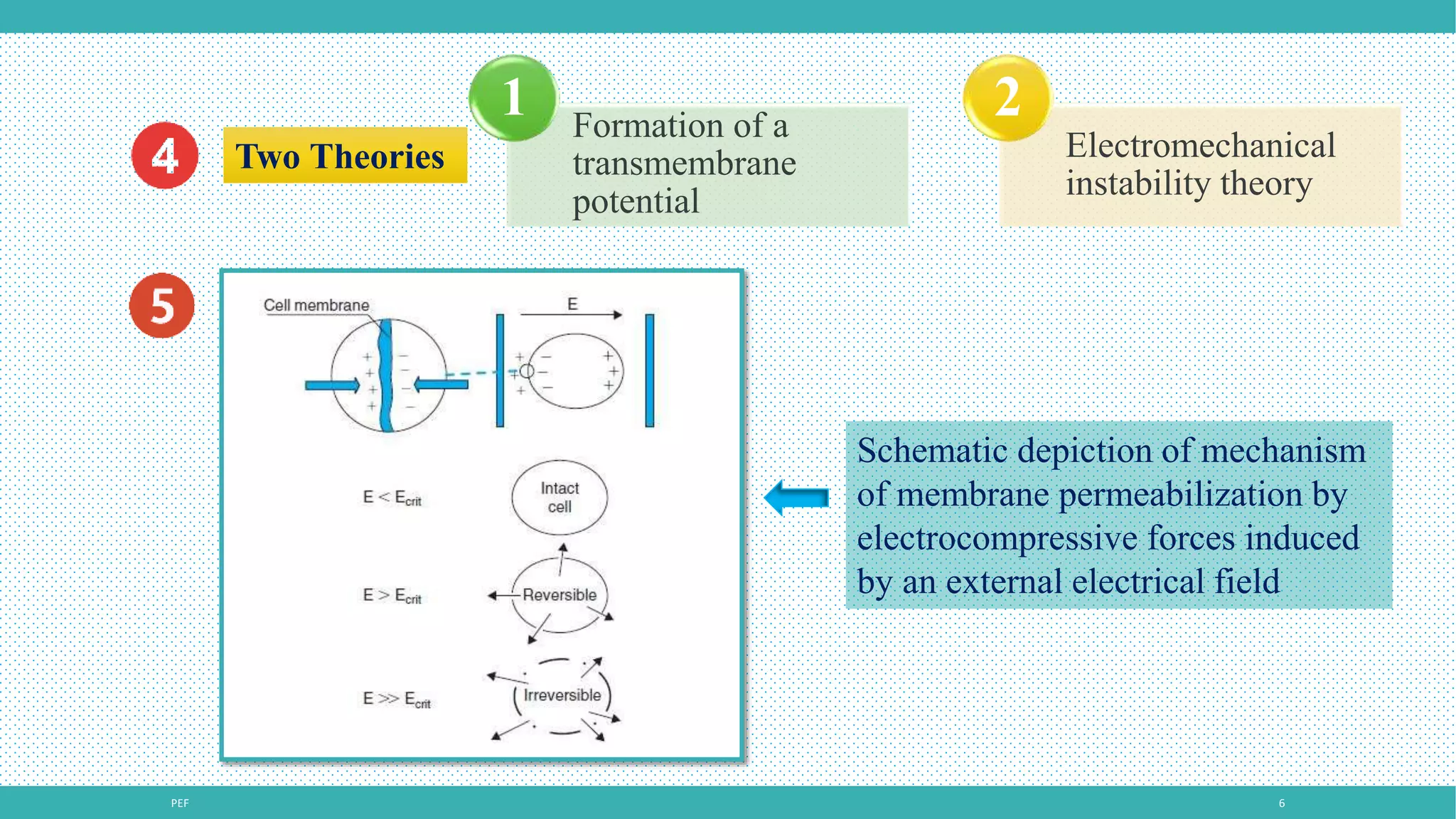 Pulsed electric field processing | PPTX