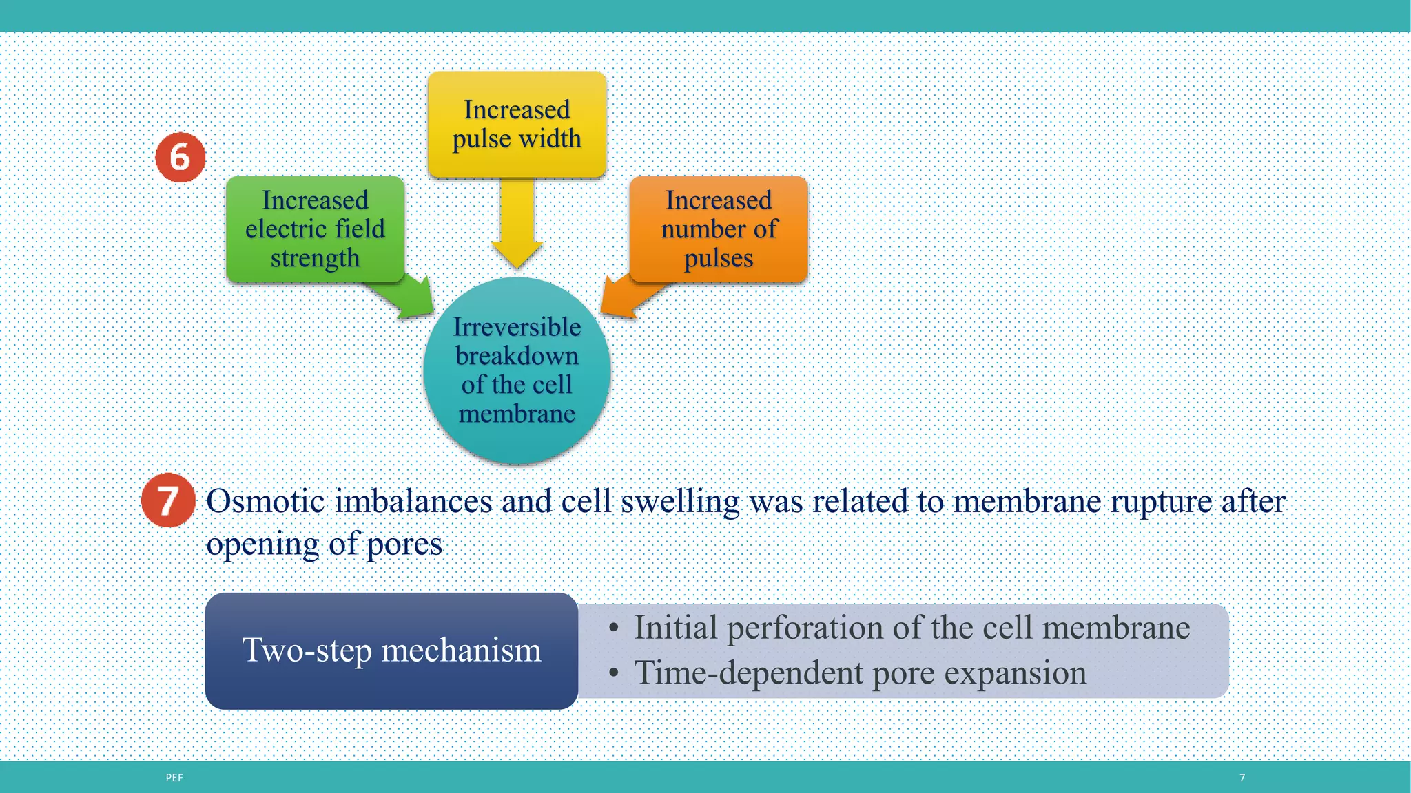 Pulsed electric field processing | PPTX