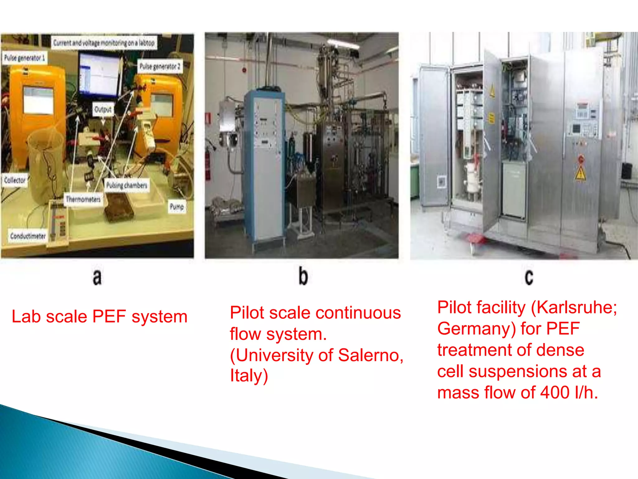 Pulsed electric field processing | PPTX