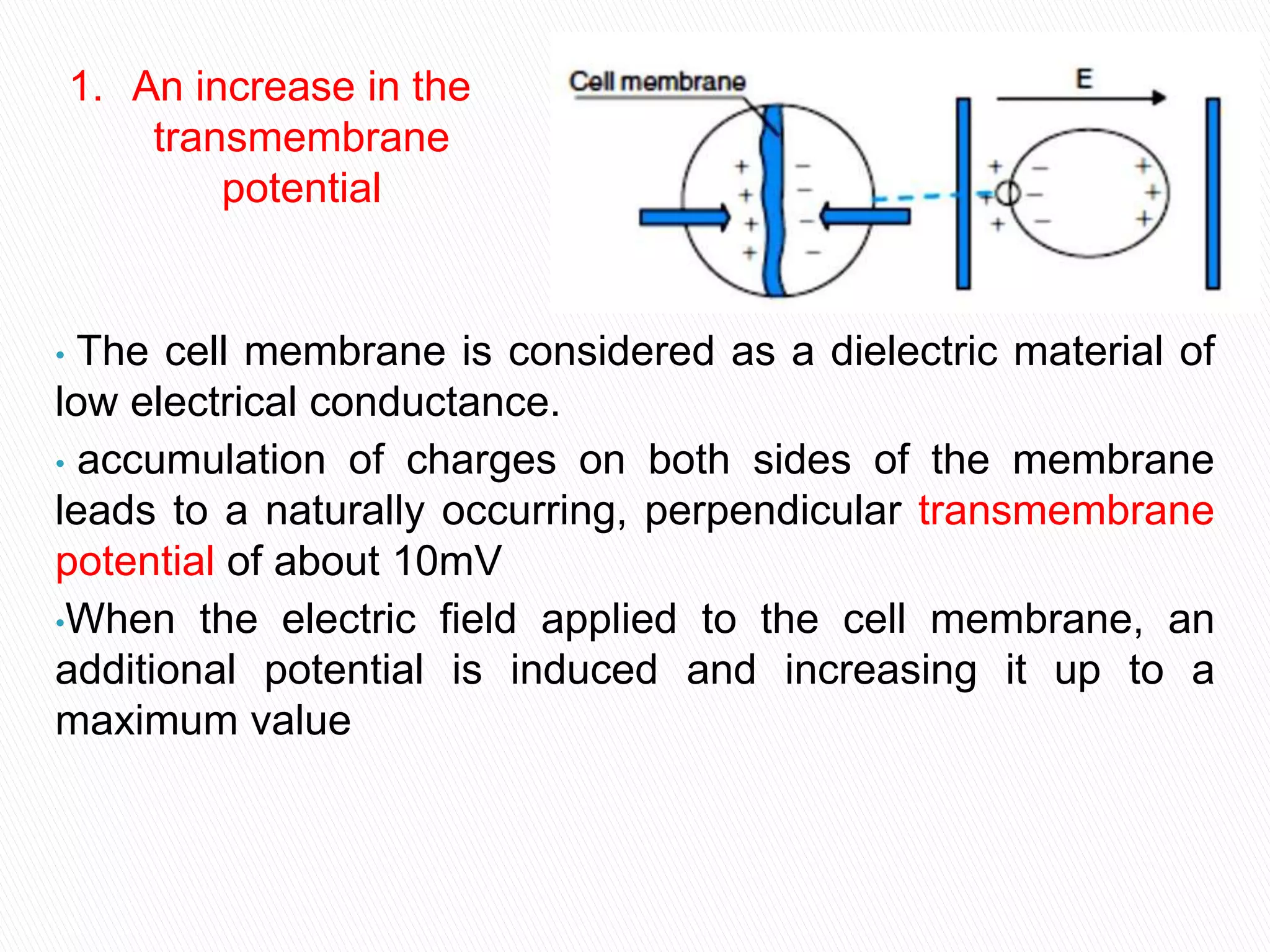 Pulsed electric field processing | PPTX