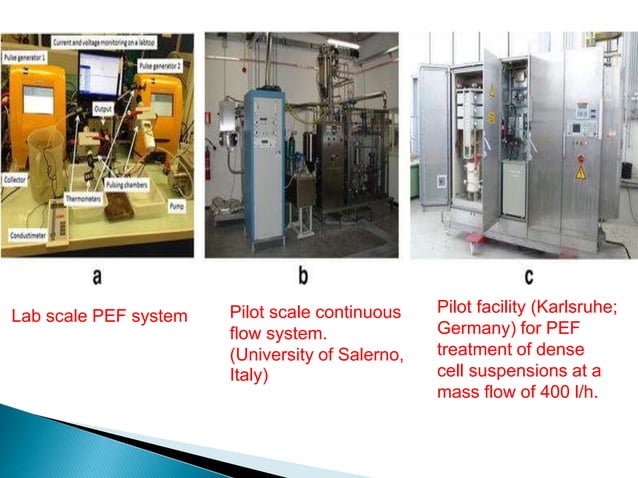 Pulsed electric field processing | PPTX