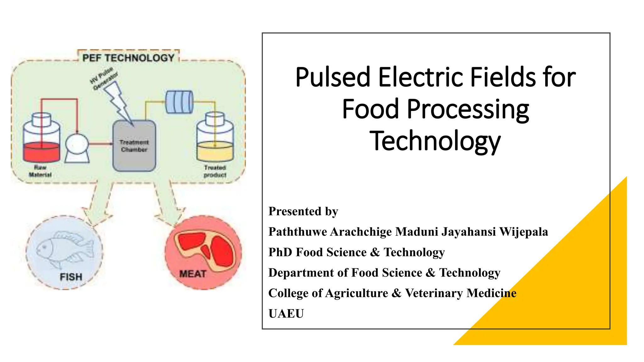 Pulsed Electric Fields for Food Processing Technology-ppt.pptx