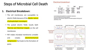 Pulsed Electric Fields for Food Processing Technology-ppt.pptx