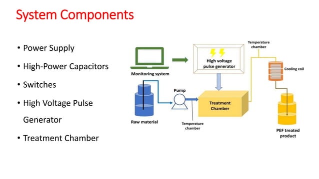 Pulsed Electric Fields for Food Processing Technology-ppt.pptx