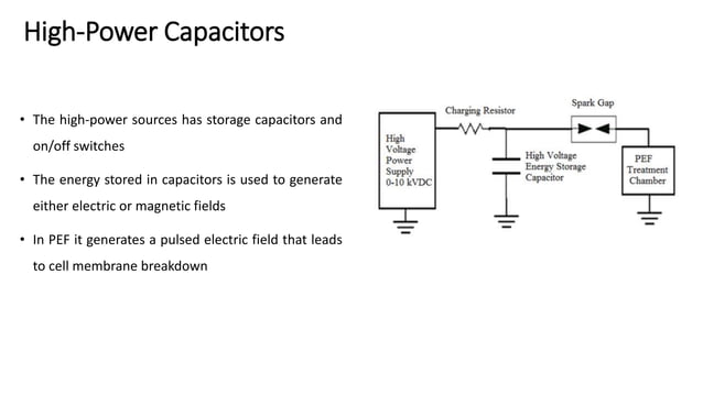 Pulsed Electric Fields for Food Processing Technology-ppt.pptx