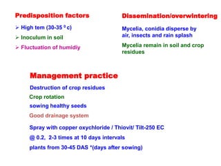 Sugarcane diseases | PPT