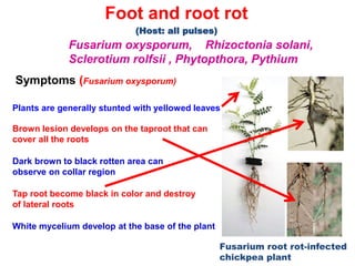 Sugarcane diseases | PPT