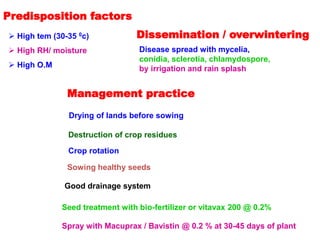 Sugarcane diseases | PPT