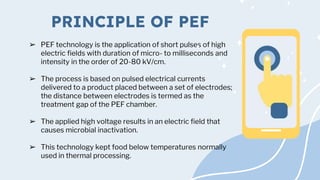 Pulse Electric Field.pptx