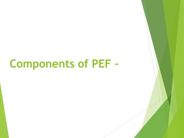Pulse Electric Field - PEF | PPTX