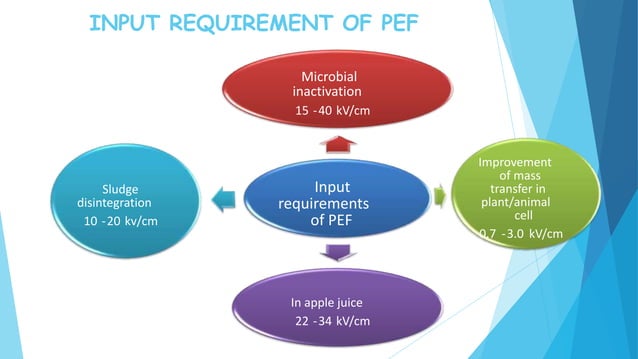 Pulse electric field processing technology | PPT