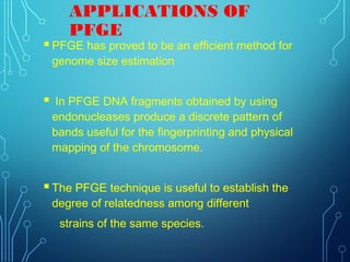 Pulse field gel electrophoresis (2) | PPT