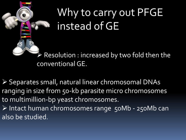 Pulse field gel electrophoresis(PFGE) | PPTX | Genetics | Science