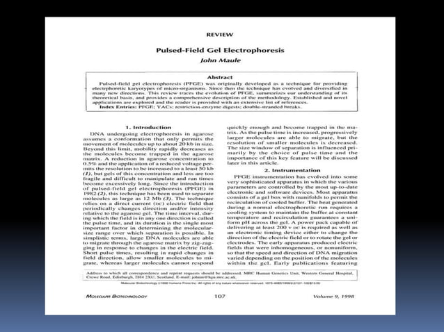 Pulse field gel electrophoresis(PFGE) | PPTX | Genetics | Science