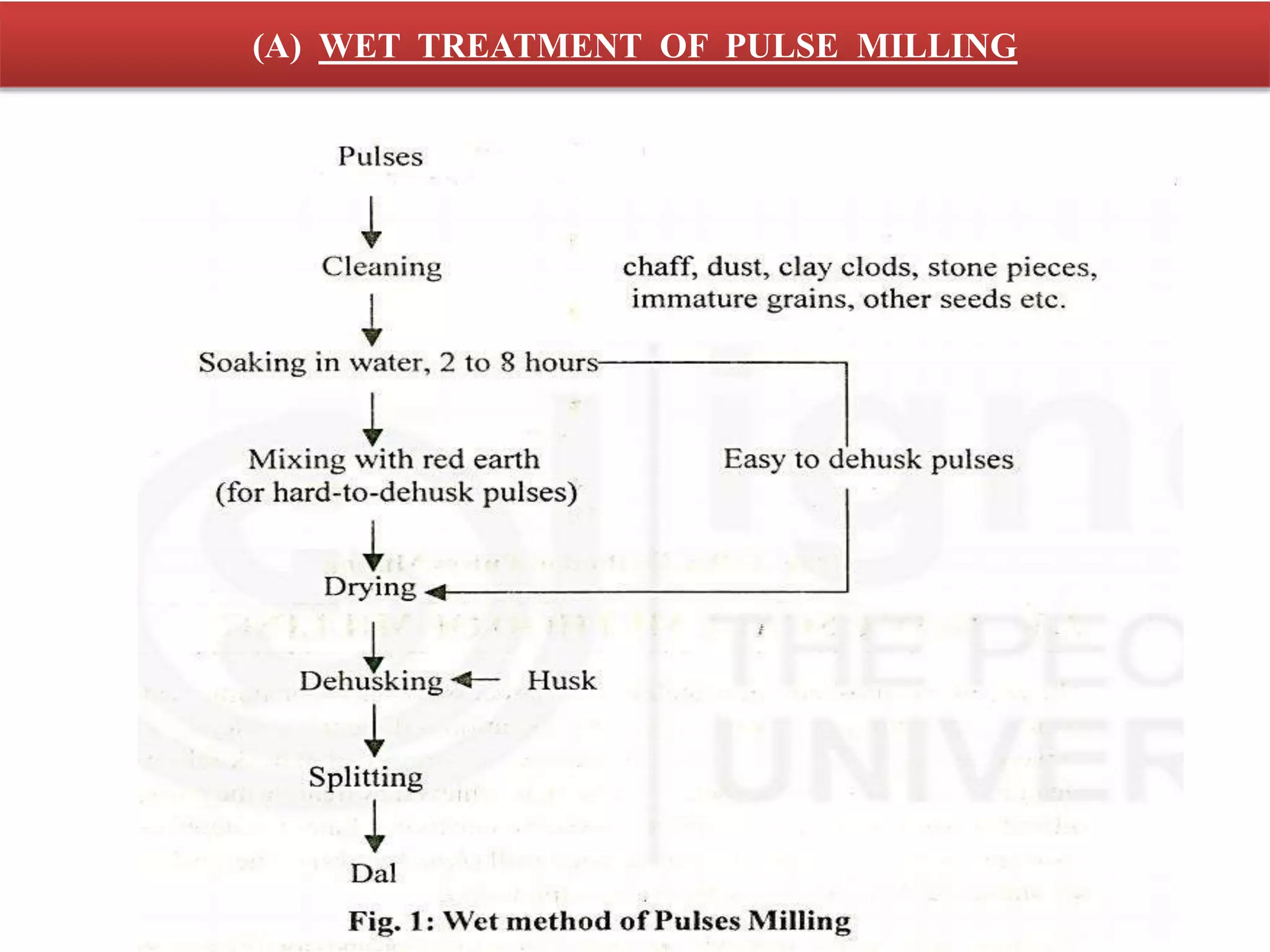 Pulse milling and their byproduct utilization | PPTX
