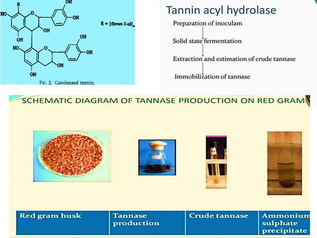Pulse milling and their byproduct utilization | PPTX