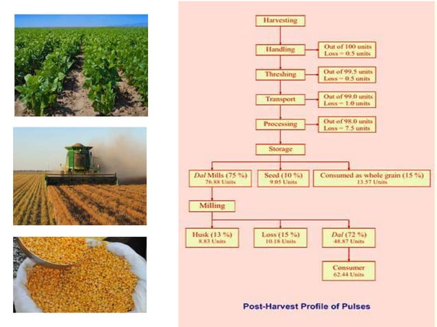 Pulse milling and their byproduct utilization | PPTX